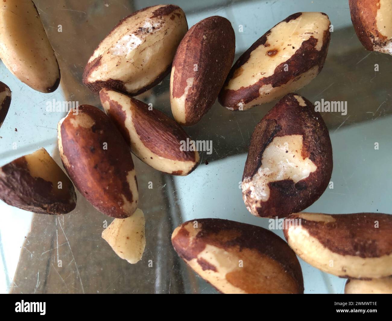 Brazil nuts on the glass table, known as "Castanha do Pará".Bowl of ...