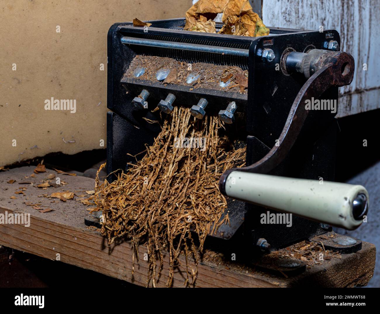 Tobacco cutting machine hi-res stock photography and images - Alamy