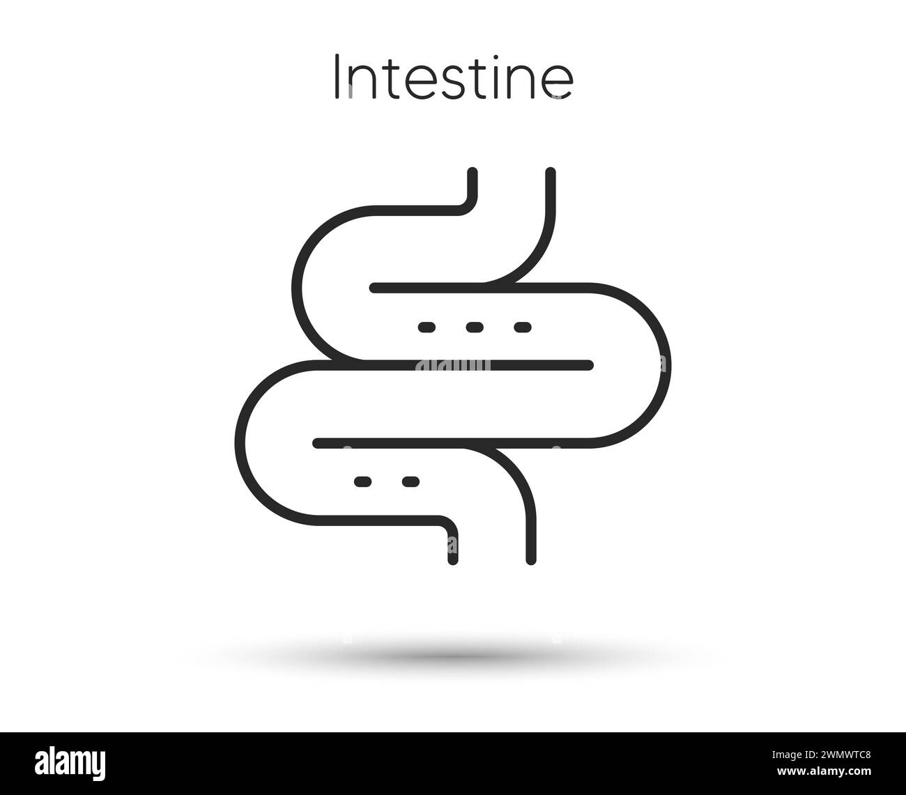 Intestine line icon. Digestion sign. Health bowel symbol. Colonoscopy ...