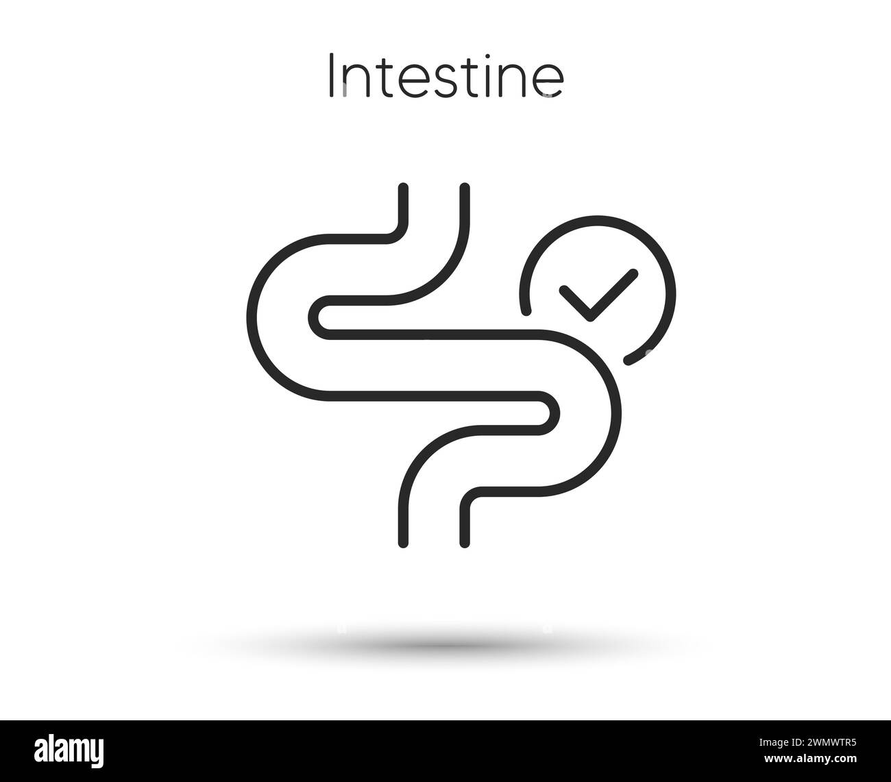 Appendix icons Stock Vector Images - Alamy