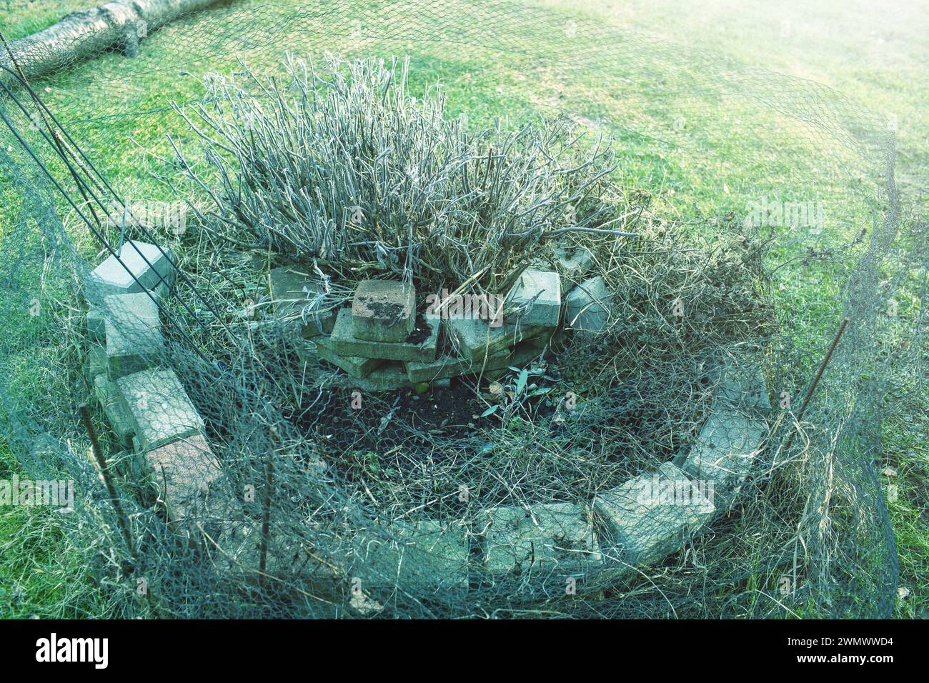 Spiral herb garden in early spring Stock Photo - Alamy