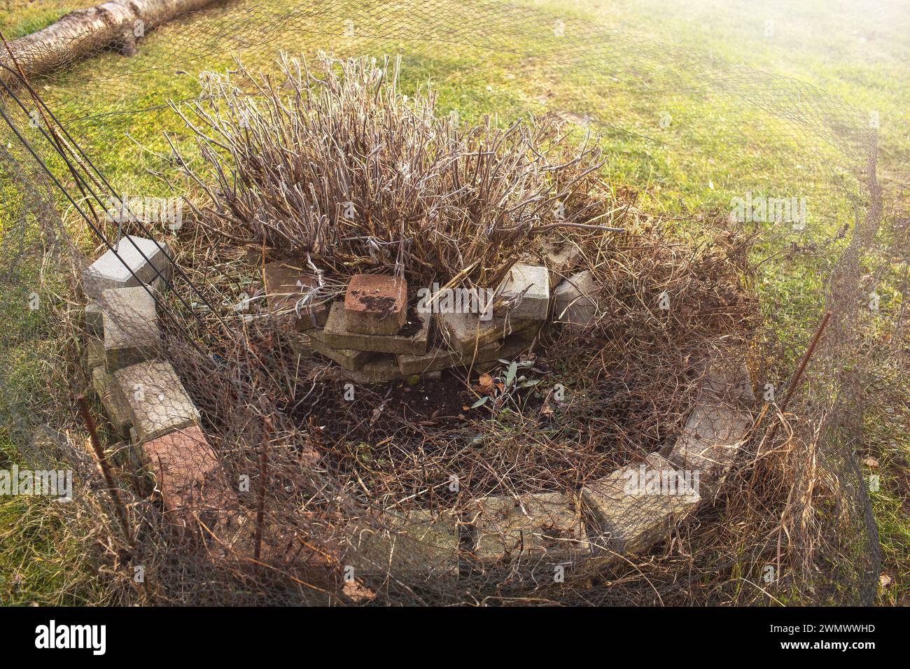 Early spring yard hi-res stock photography and images - Alamy