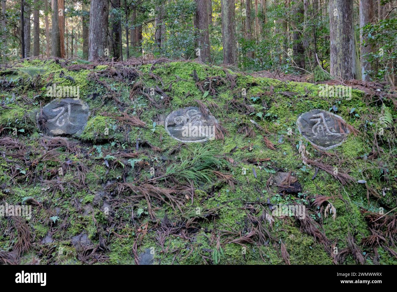 Forest stone engravings on the Kumano Kodo Nakahechi pilgrimage route ...