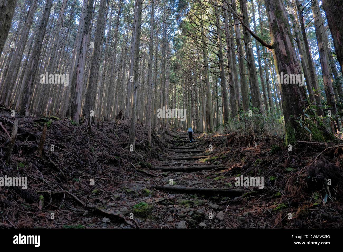 Trekking the "Body Breaking Slope" on the Kumano Kodo pilgrimage route ...