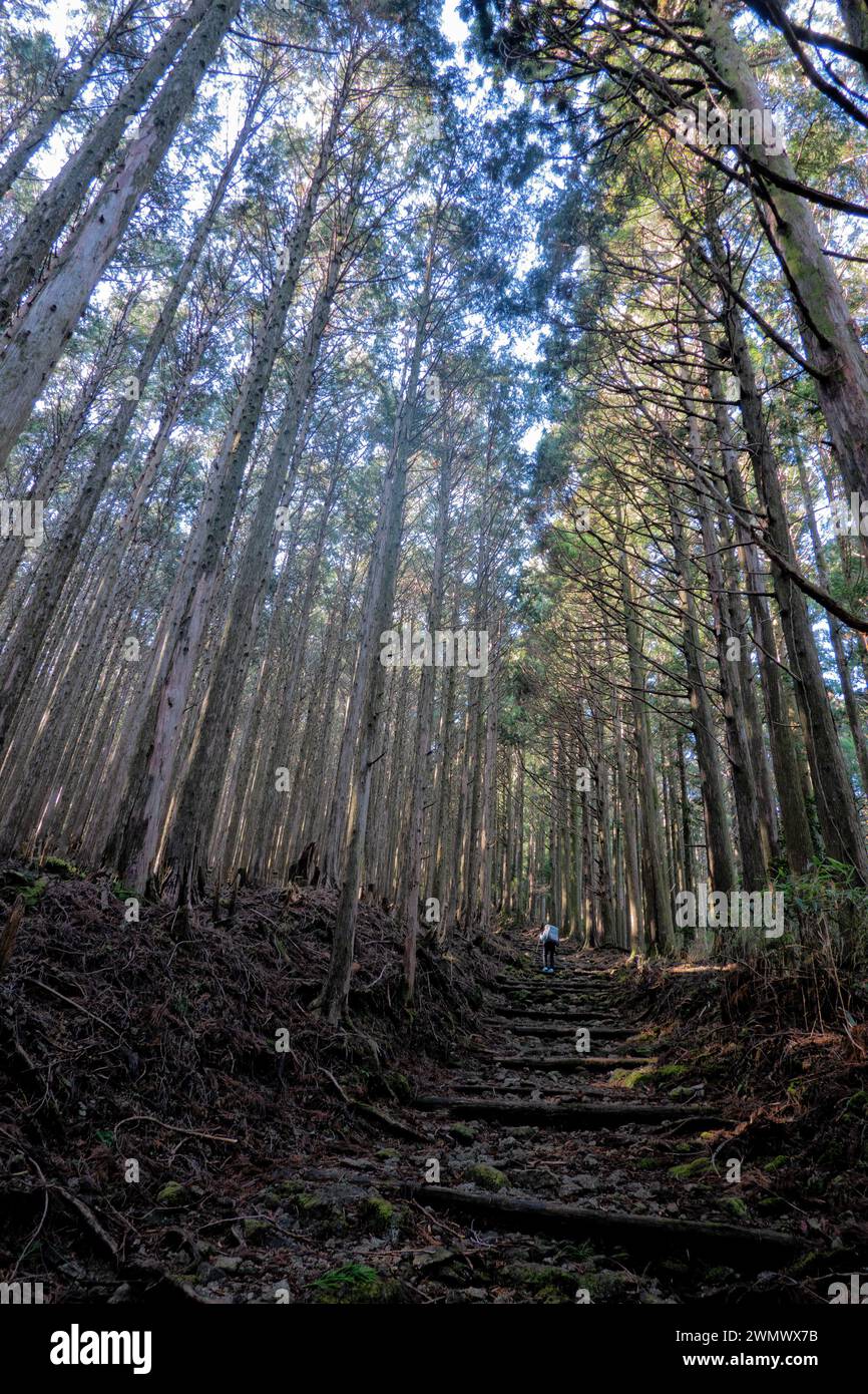 Body breaking slope hi-res stock photography and images - Alamy