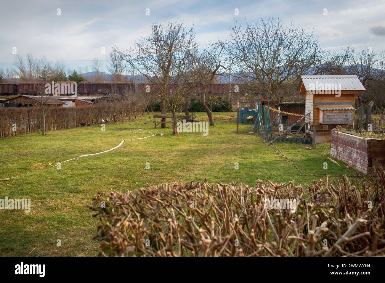 Early spring yard hi-res stock photography and images - Alamy