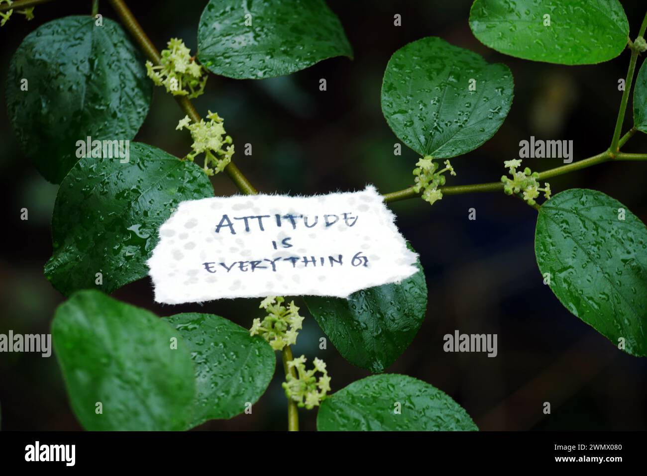 attitude is everything - Hand holding torn paper motivational slogan ...