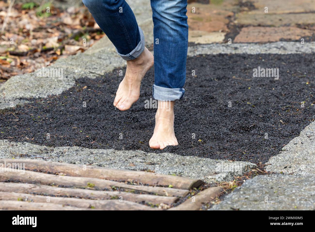 Bad Nauheim, Germany. 26th Feb, 2024. Steffen Schneider, Head of ...
