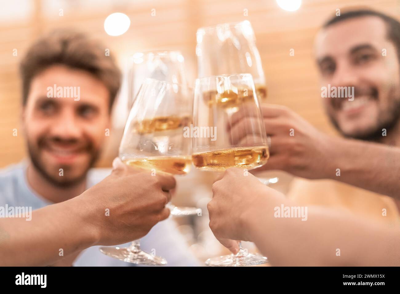 Friends clinking glasses in celebration - Joyful toast during casual ...