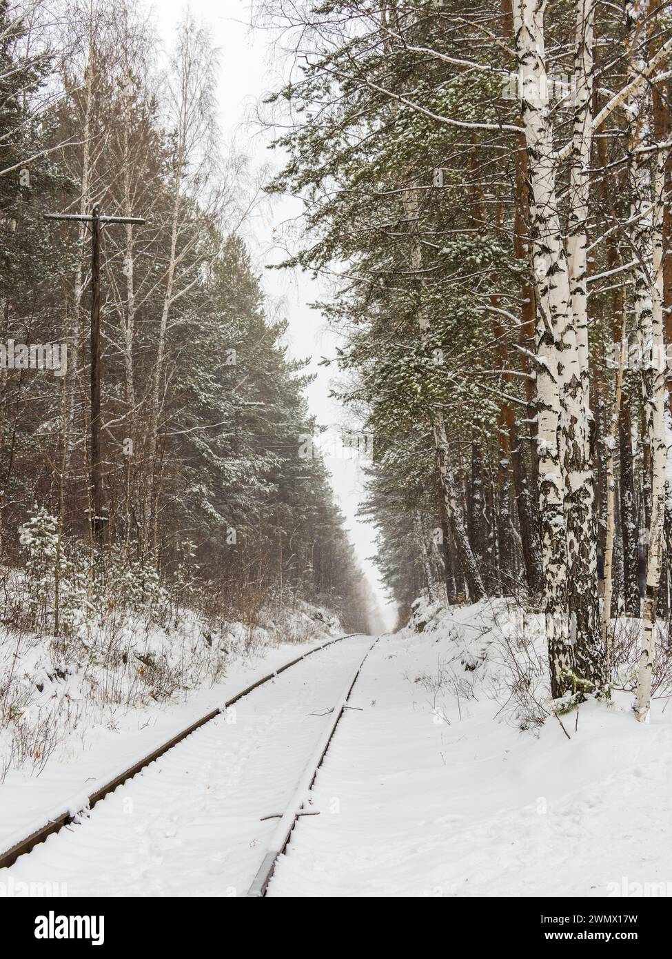 Old railway in winter forest. Frozen in winter railway line between ...