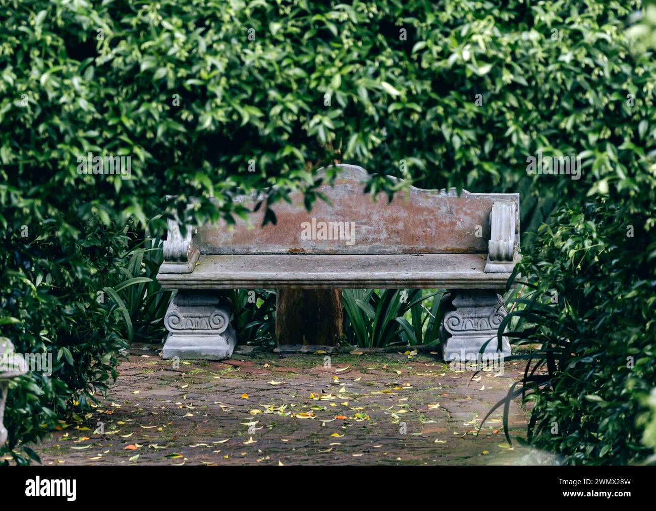 Empty old concrete park bench, made in antique Greek style, surrounded ...