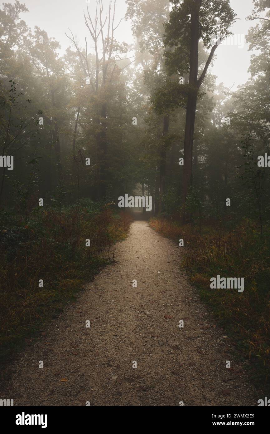 Walkway leading to the horizon hi-res stock photography and images - Alamy