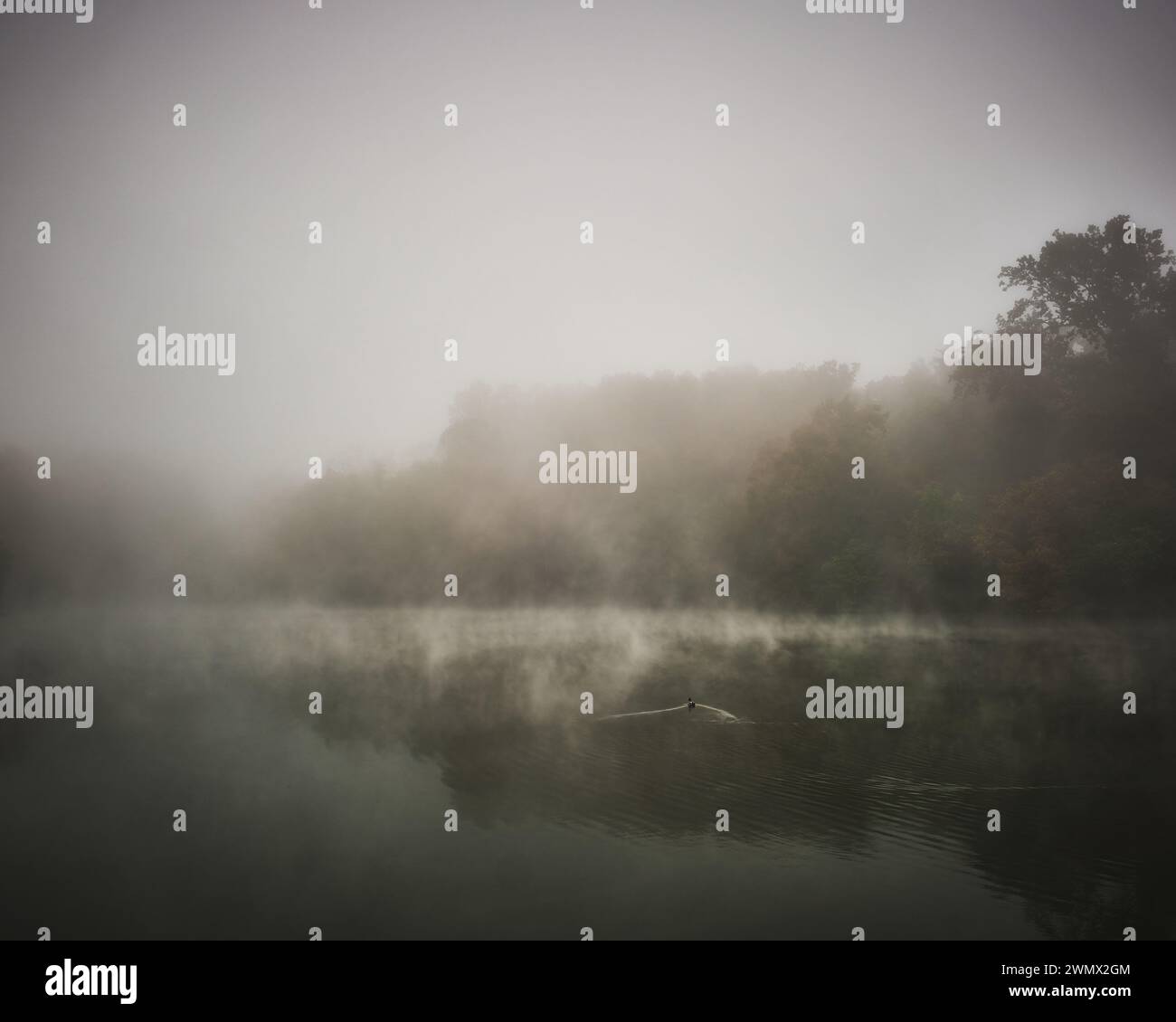 Foggy backdrop hi-res stock photography and images - Alamy