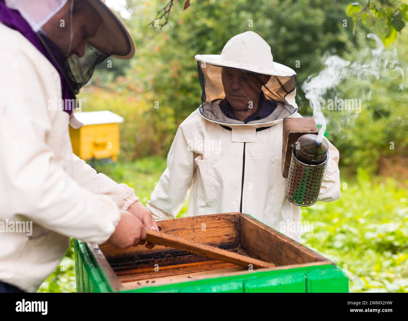 Male beekeeper opening hive hi-res stock photography and images - Alamy