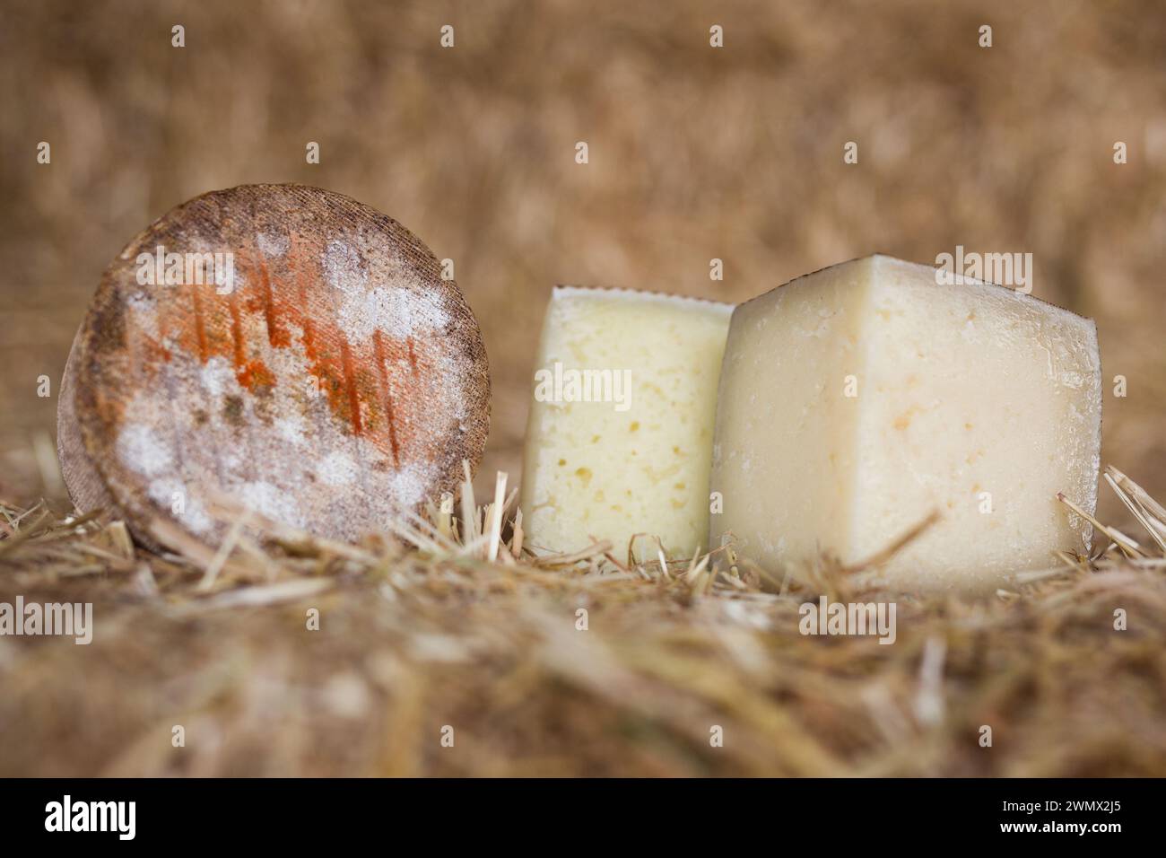 Head and chunks of aged hard cheese in hayloft Stock Photo - Alamy