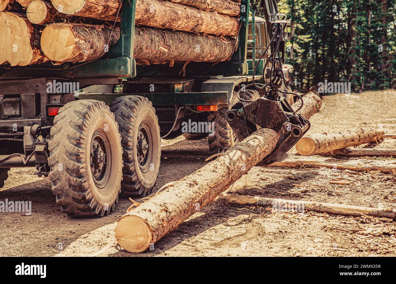 Truck loading wood in the forest. Felling of trees,cut trees , forest ...
