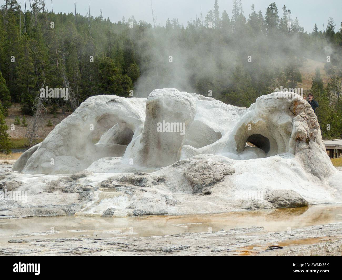 Yellowstone NP, Wyoming: the base of the Grotto Geyser, just finishing ...