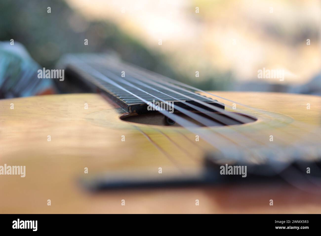 A nylon-string guitar rests gently against a backdrop of lush foliage ...