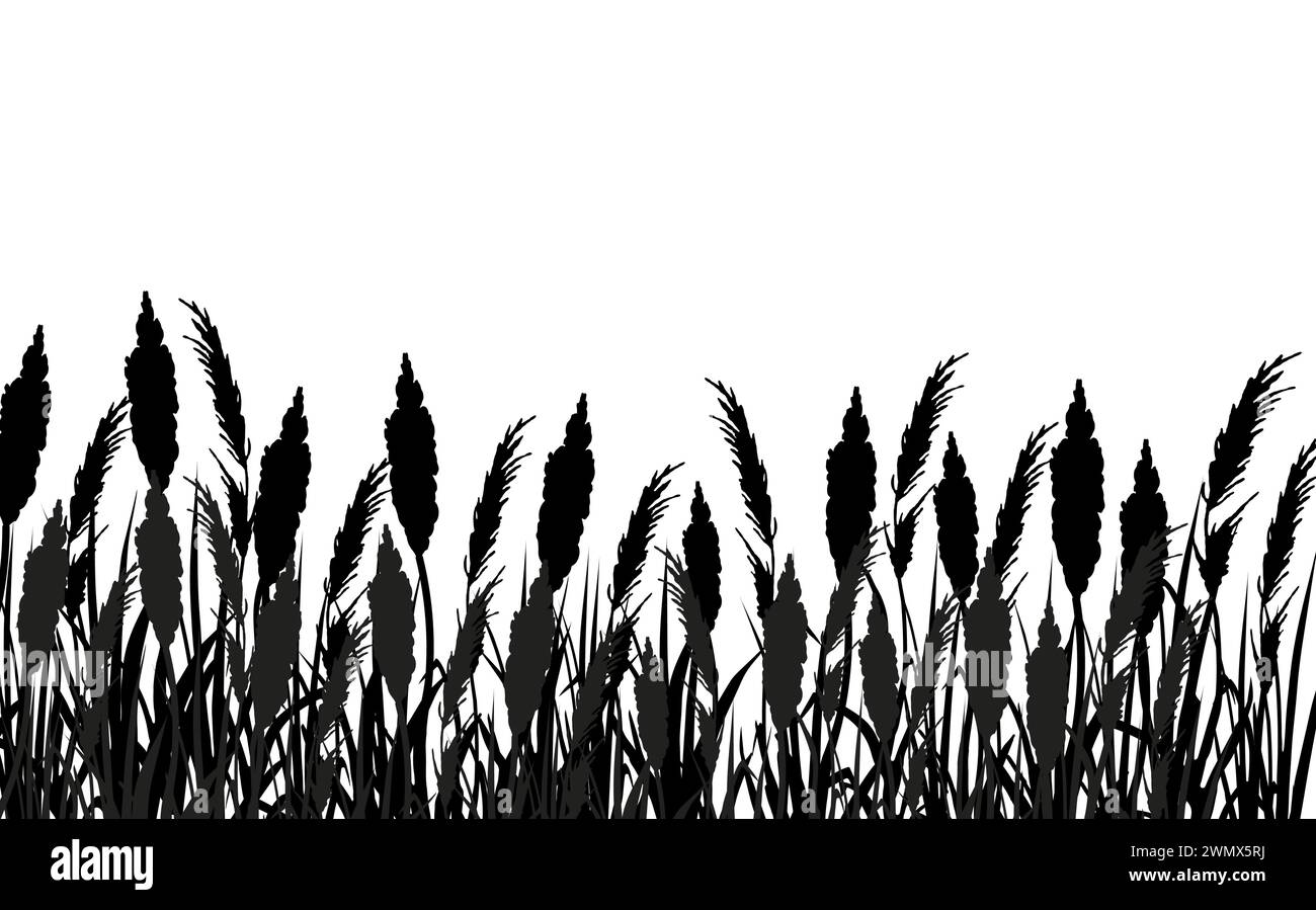 Black Grass Graphic Silhouetteimage Of A Monochrome Reedgrass Or Bulrush On A White Background