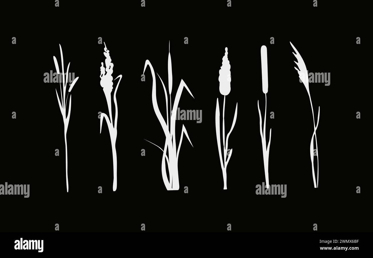 Black grass graphic silhouette.Image of a monochrome reed,grass or ...
