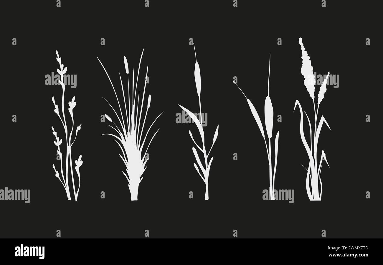 Black grass graphic silhouette.Image of a monochrome reed,grass or ...