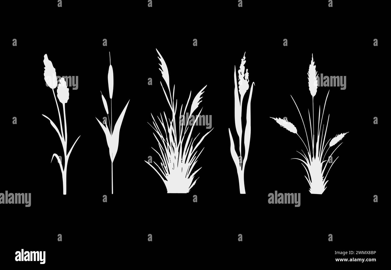 Black grass graphic silhouette.Image of a monochrome reed,grass or ...