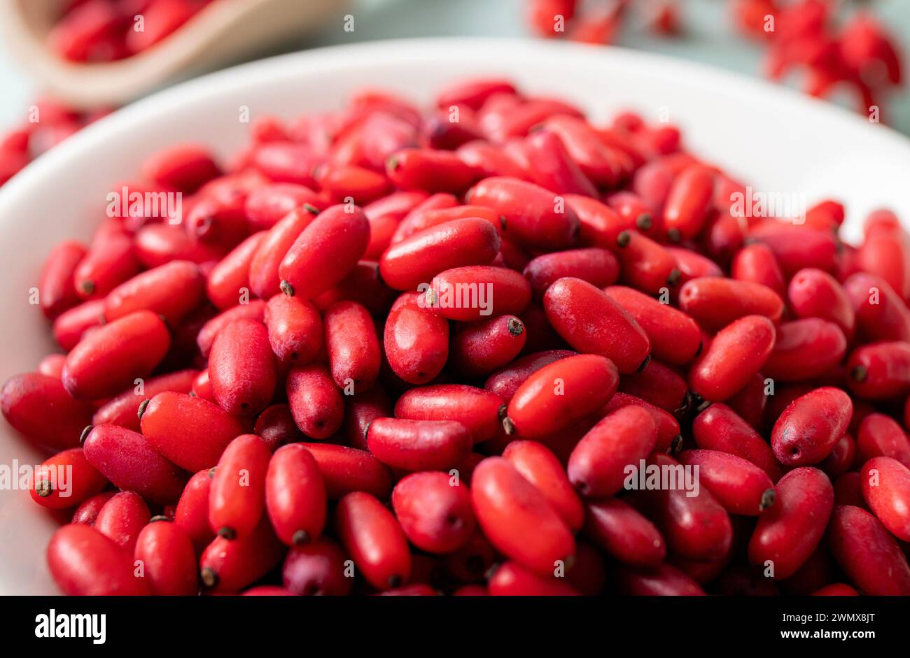 Pile of Berberis vulgaris berries also known as common barberry ...