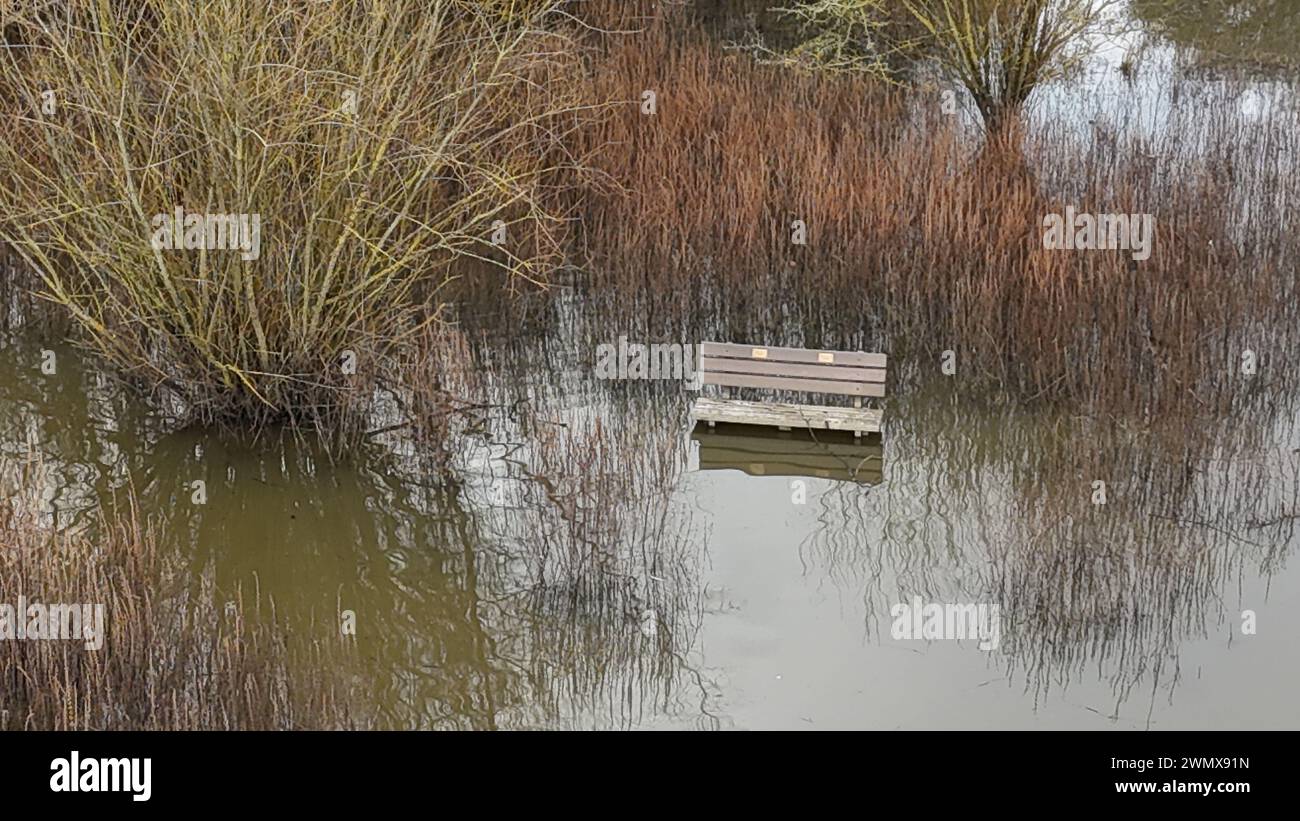 Bench in water hi-res stock photography and images - Alamy