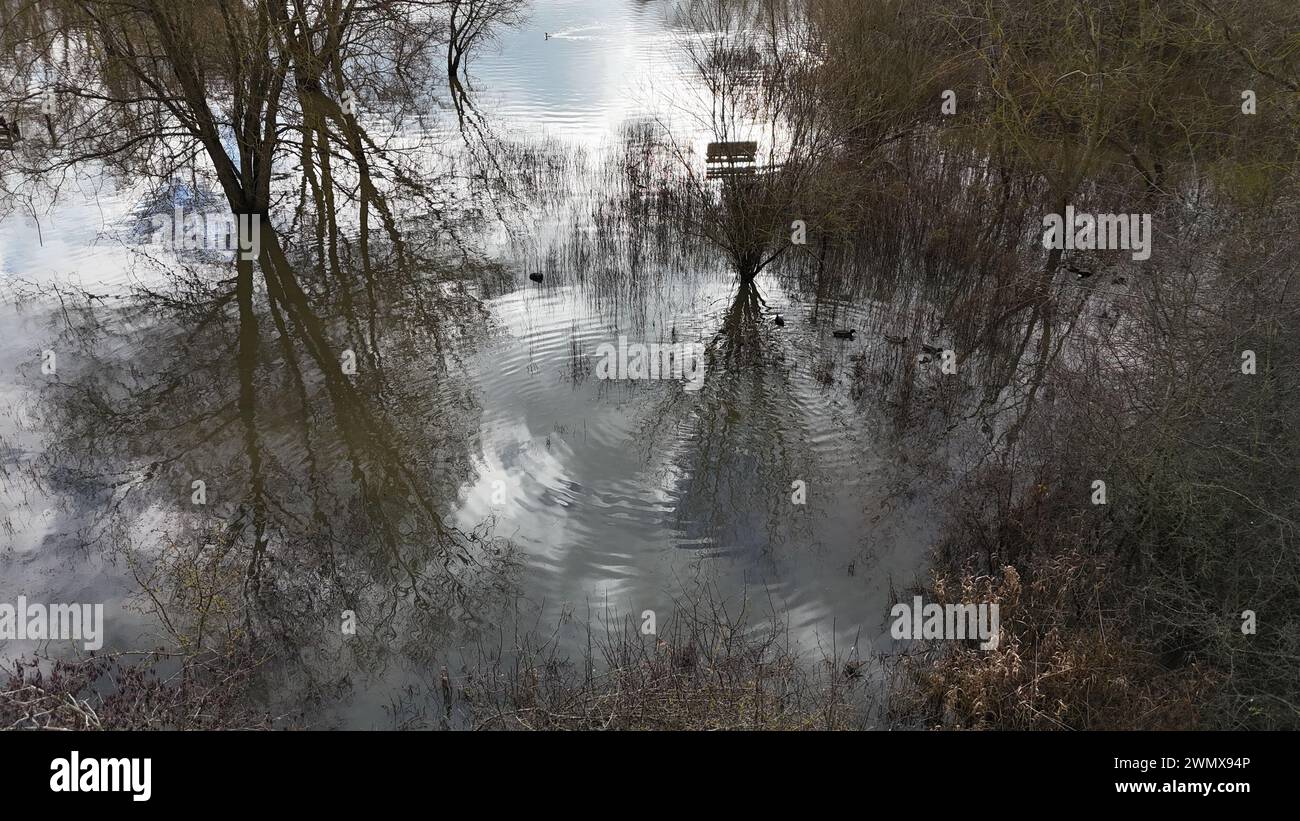 Serene trees hi-res stock photography and images - Alamy
