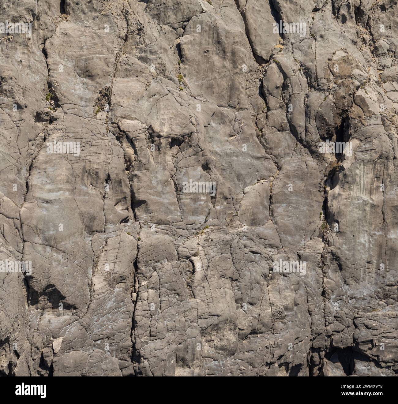 Weathered seaside rock face texture. Aged volcanic stone wall surface ...