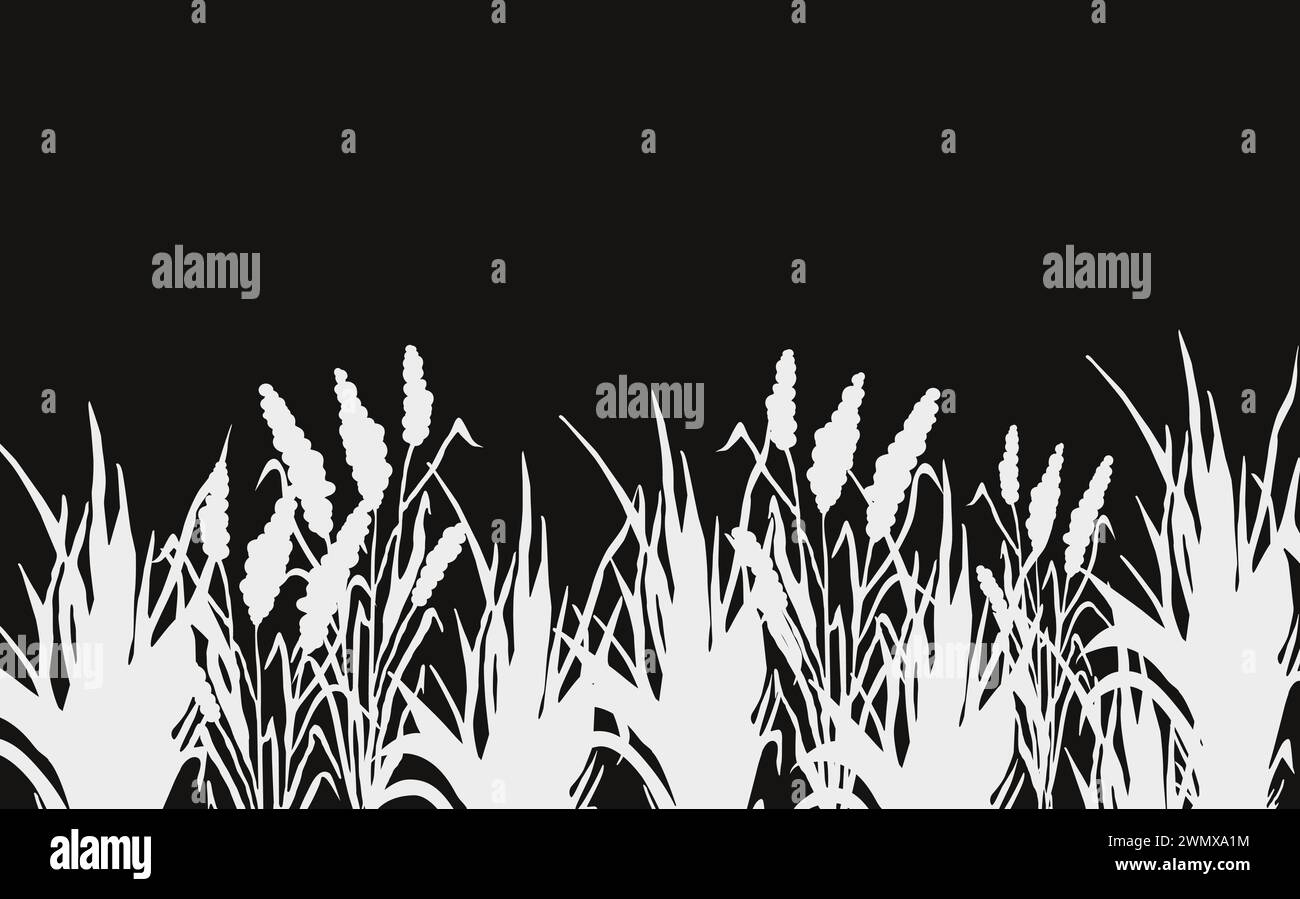 Black grass graphic silhouette.Image of a monochrome reed,grass or ...