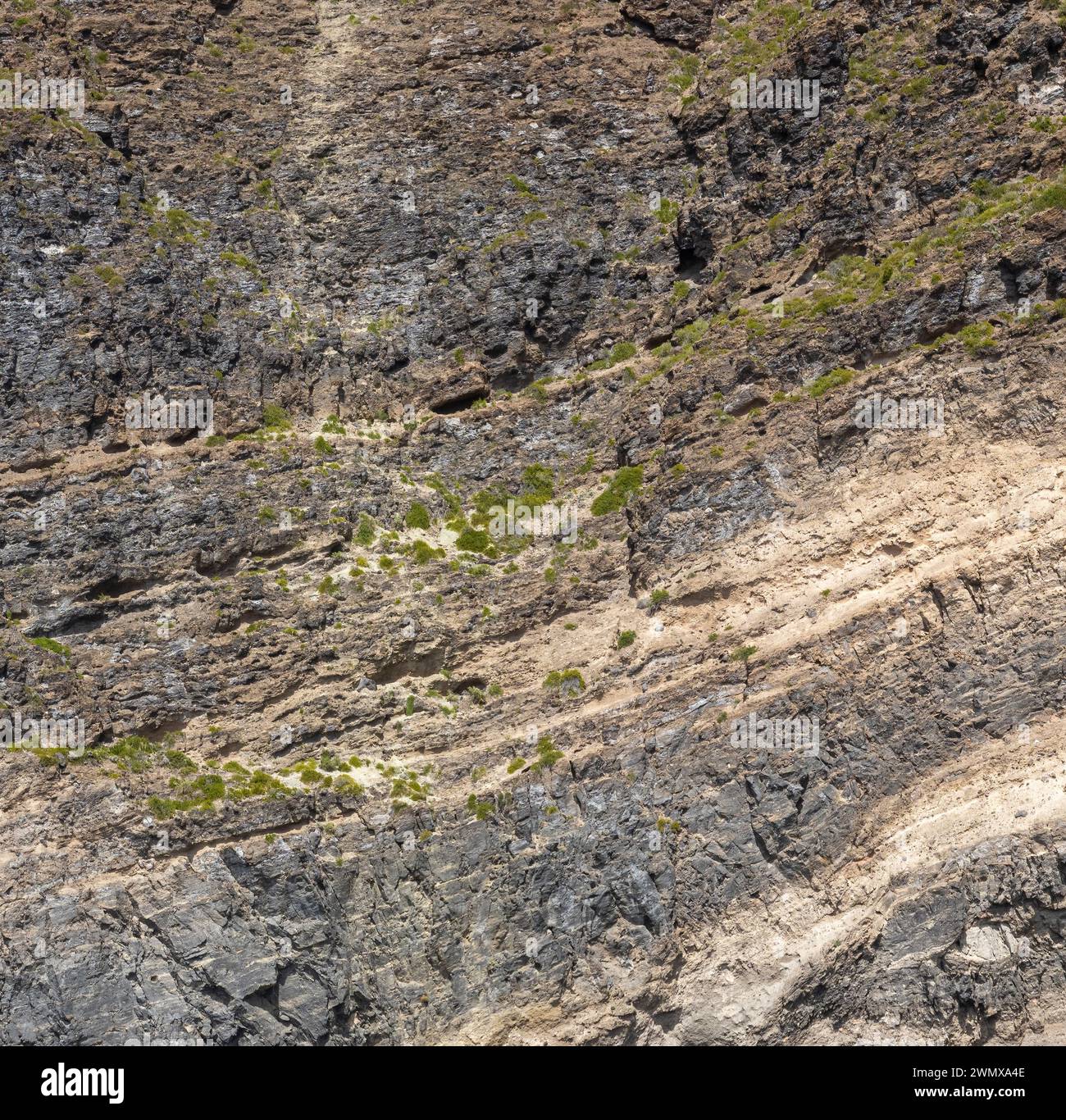 Weathered seaside rock face texture. Aged volcanic stone wall surface ...
