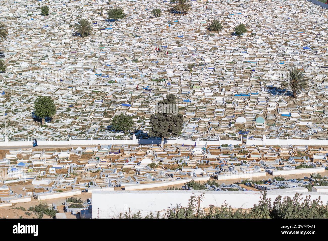 Aerial View of Cemetery with Trees and Gravestones in Tetouan, Morocco ...