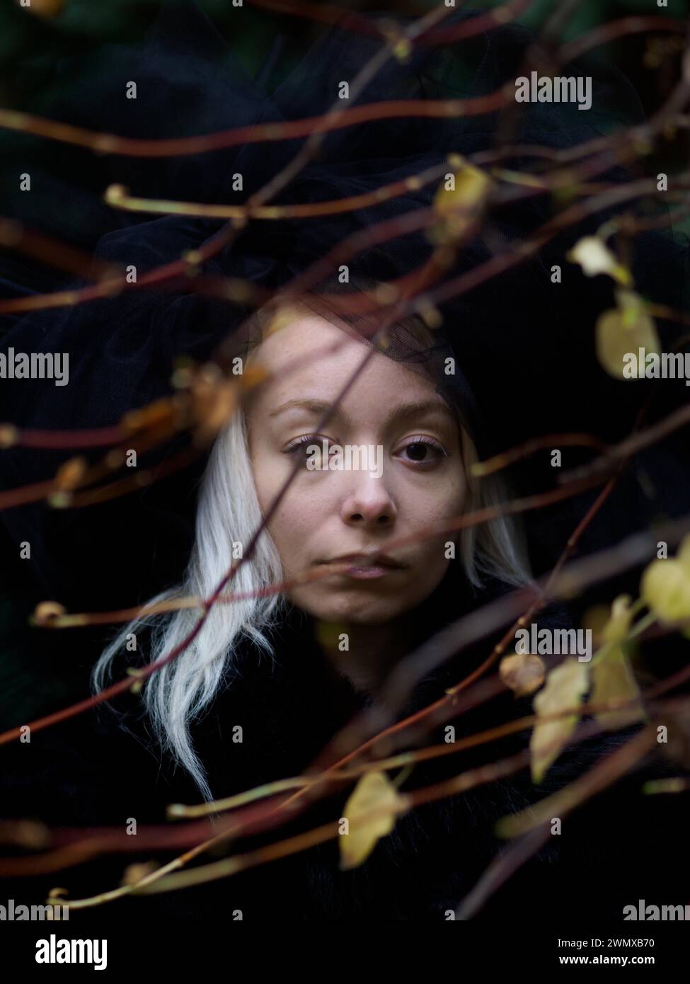 Caucasian young platinum blonde Woman's face partly obscured by autumn ...