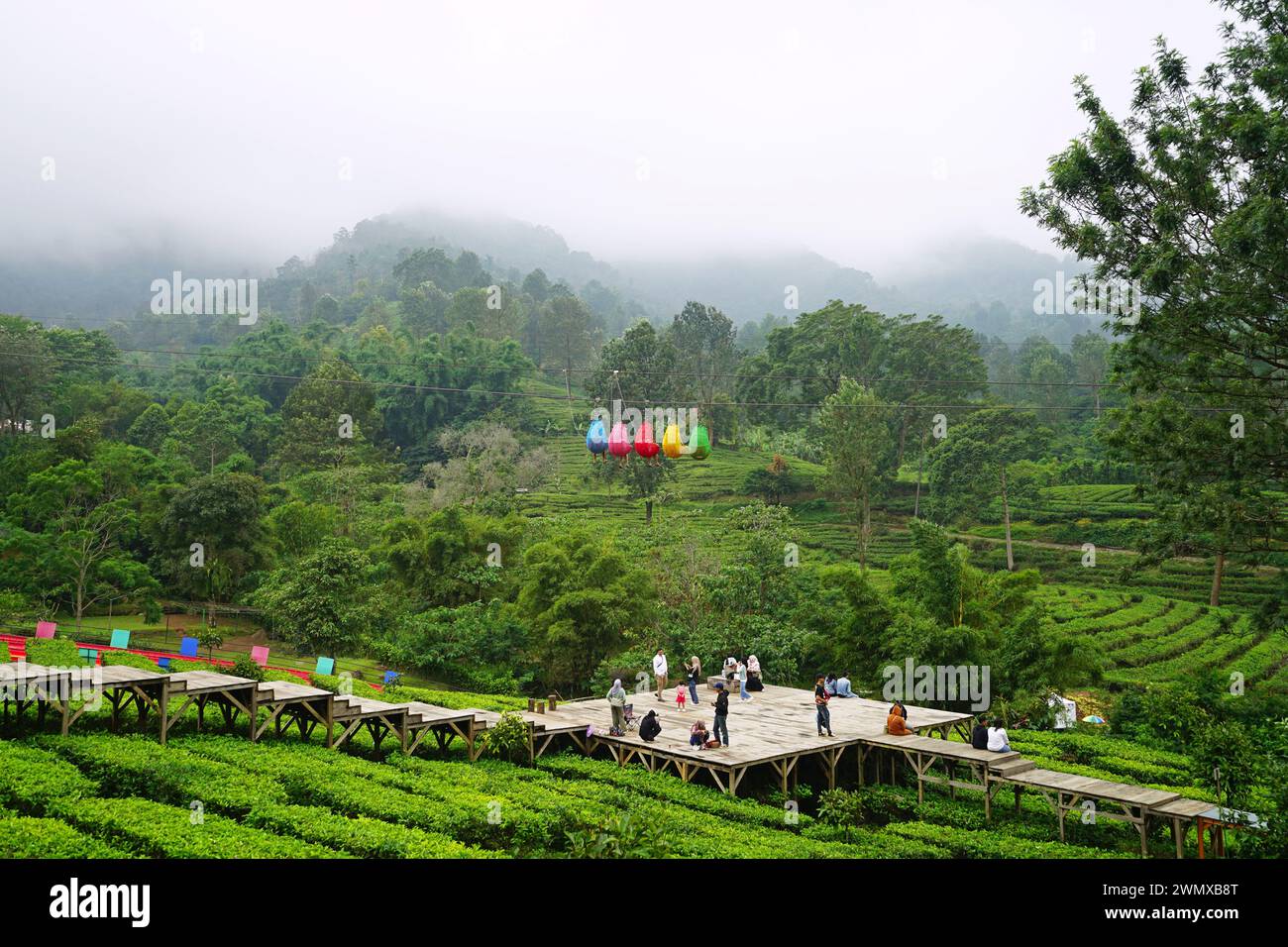 Gunung Mas Tea Plantation Park and Garden, Puncak, Cisarua, Bogor, West ...