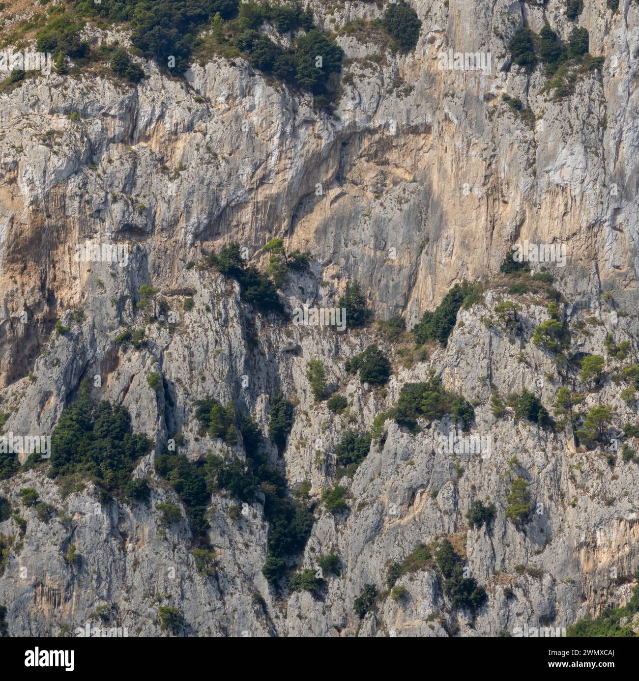 Weathered seaside rock face texture with parts of green. Aged volcanic ...