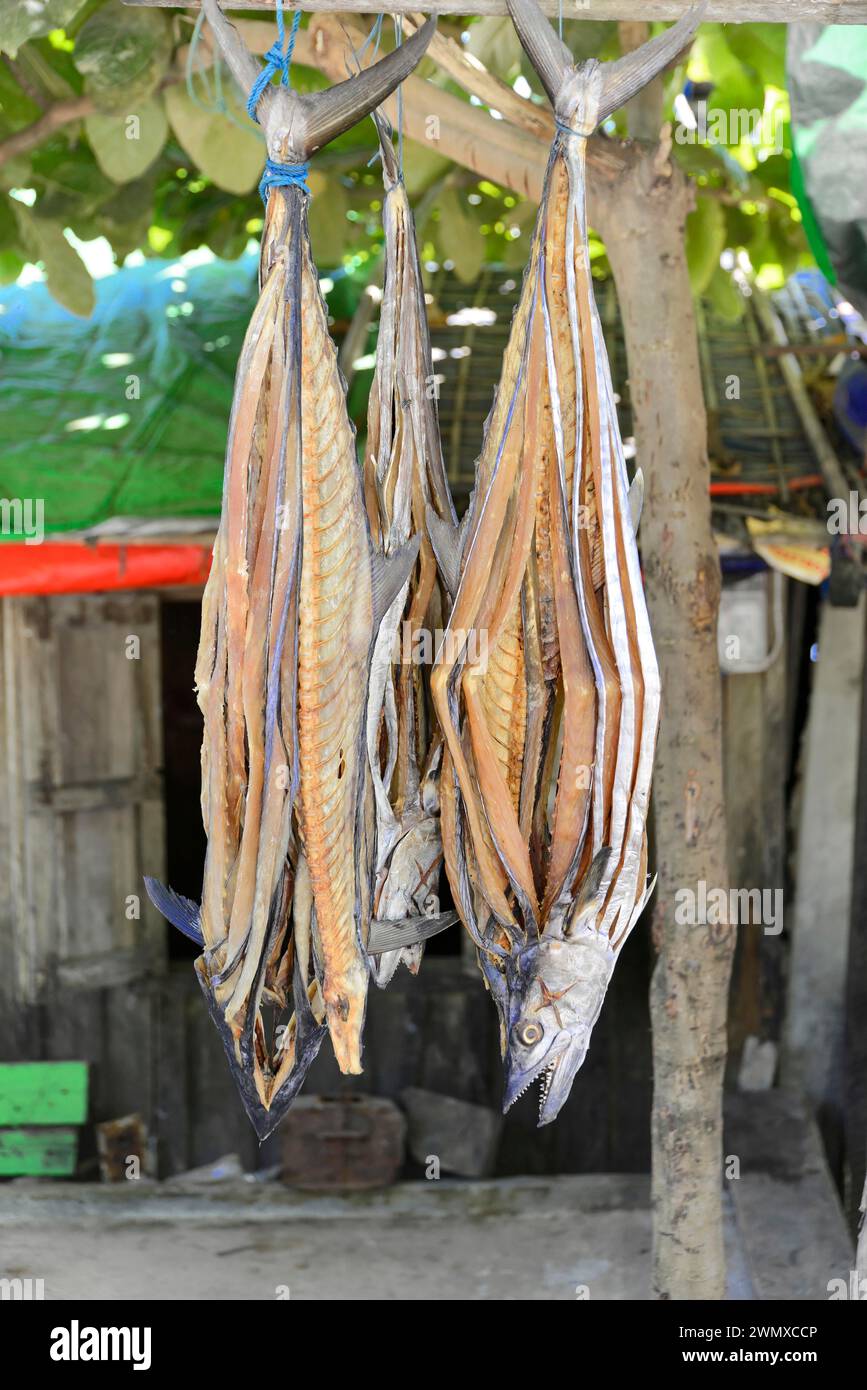 Southeast asia myanmar burma fish hi-res stock photography and images ...
