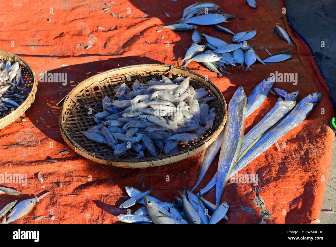 Southeast asia myanmar burma fish hi-res stock photography and images ...
