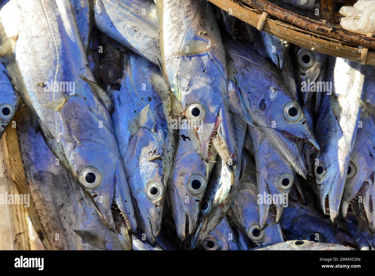 Southeast asia myanmar burma fish hi-res stock photography and images ...