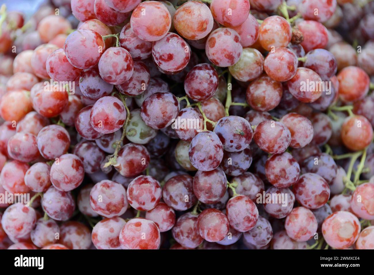 Myanmar fresh food hi-res stock photography and images - Alamy