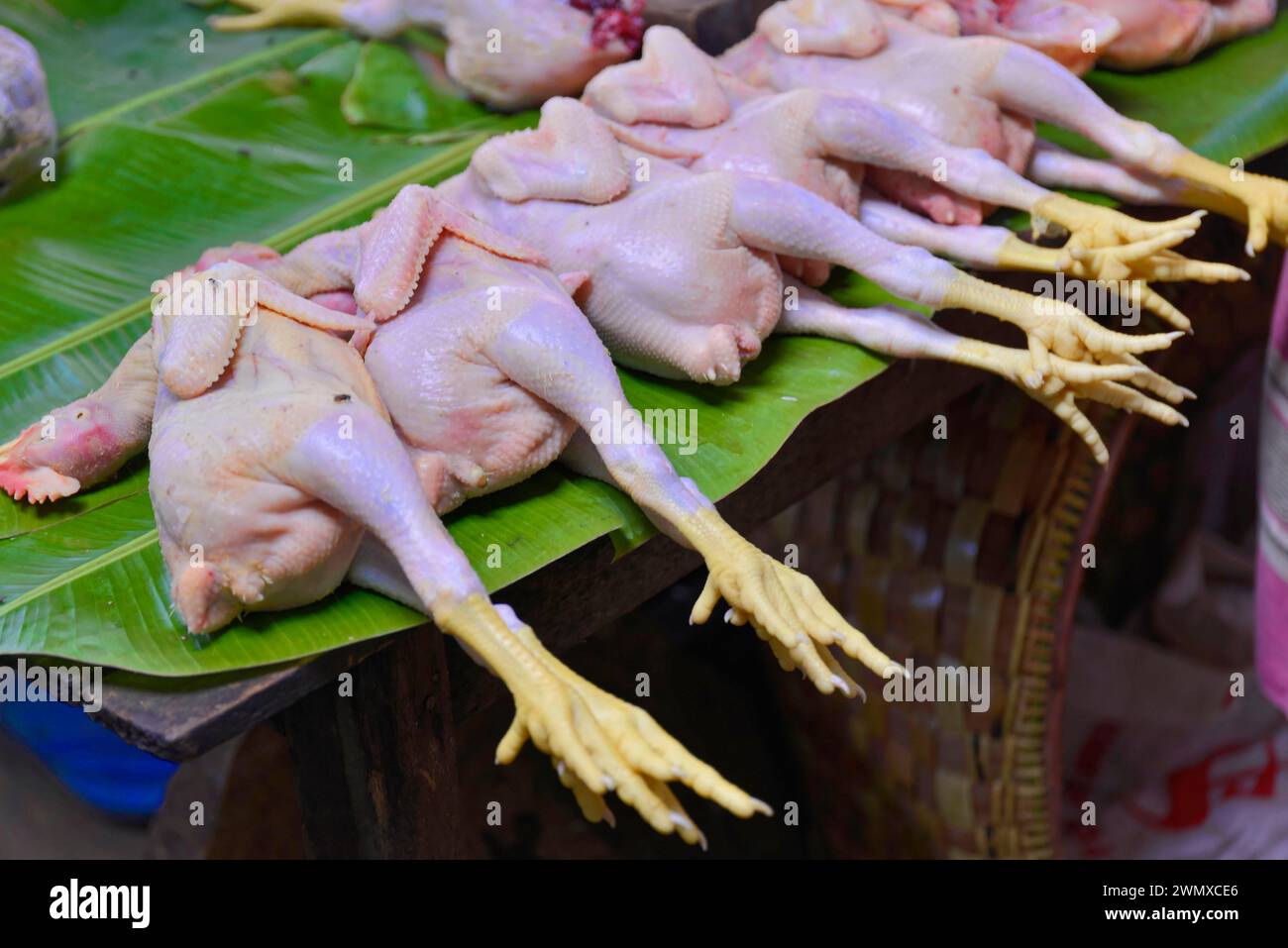 Chicken, poultry display at the market, Mandalay, Myanmar Stock Photo ...