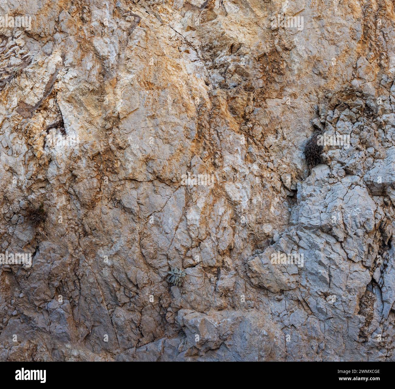 Weathered seaside rock face texture. Aged volcanic stone wall surface ...