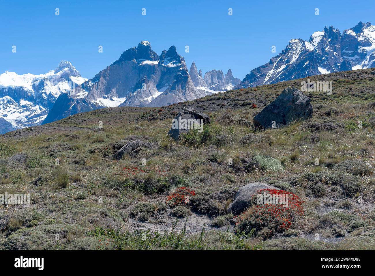 Famous Towers, Torres del Paine National Park, Parque Nacional Torres ...