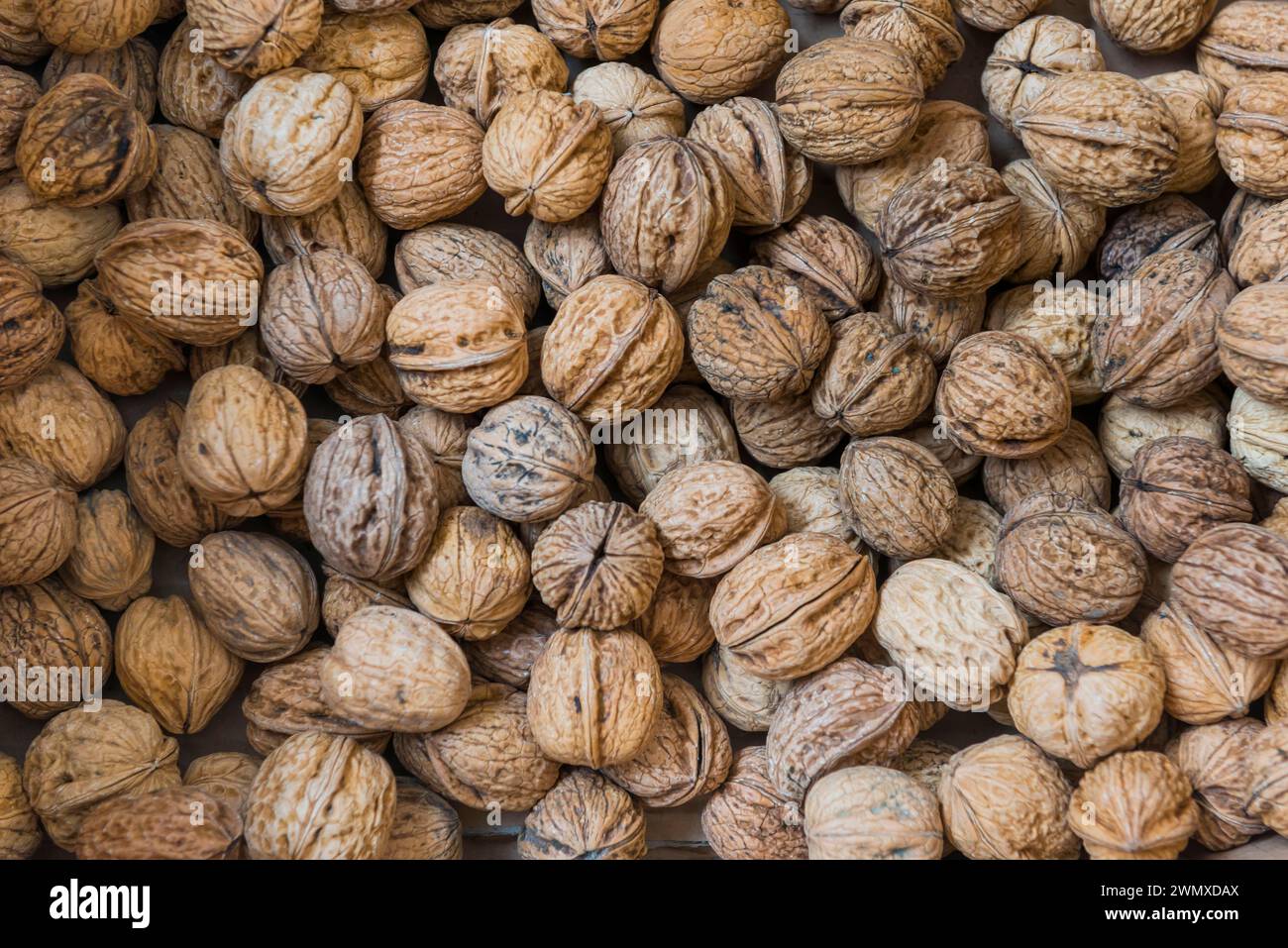 Walnuts, calories, texture, eat, nuts, food, nutrition, plant, health ...