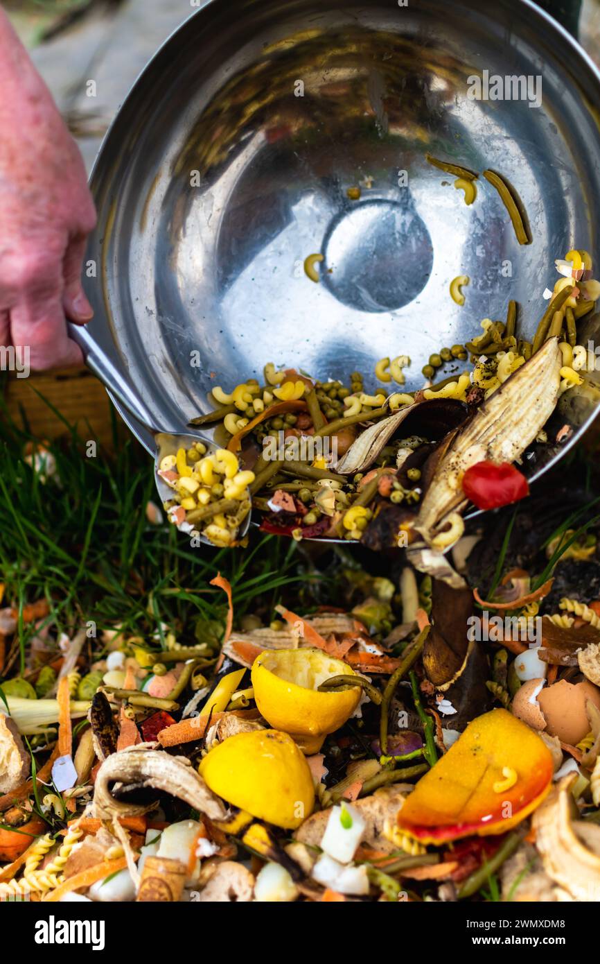 Person who put in a composter some kitchen waste like vegetables ...