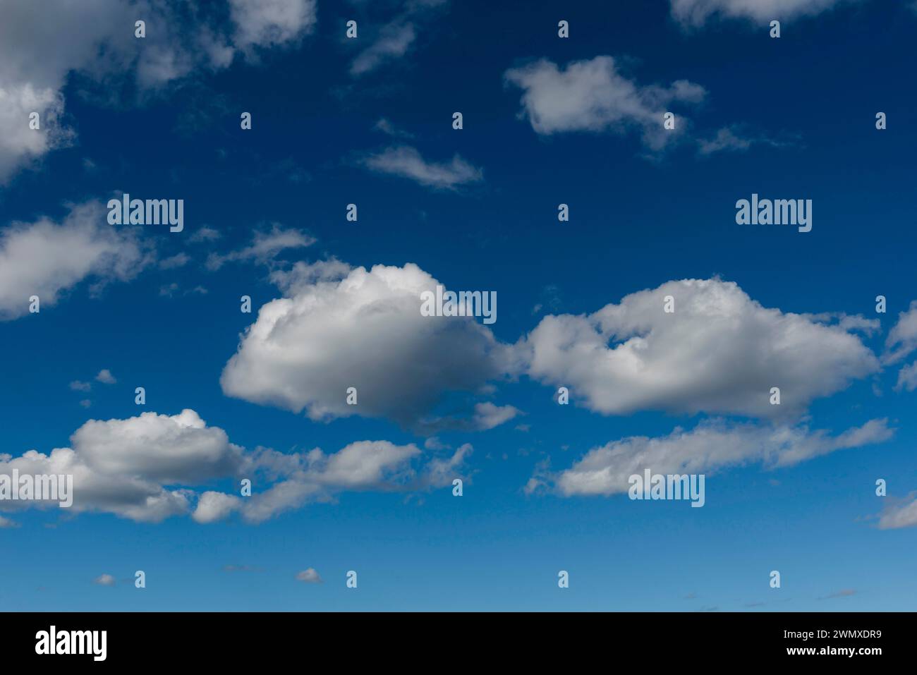 Sky, blue sky, cloud, summer, clear, blue, weather, beautiful weather ...