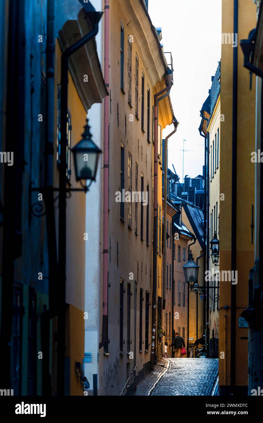 Houses in an alley of Gamla Stan, old town, centre, attraction, famous ...