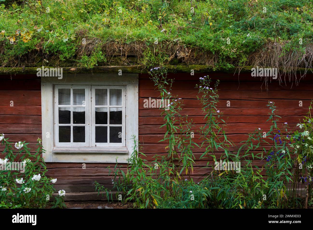 Old wooden window on a farmhouse, decoration, window, historic, old ...
