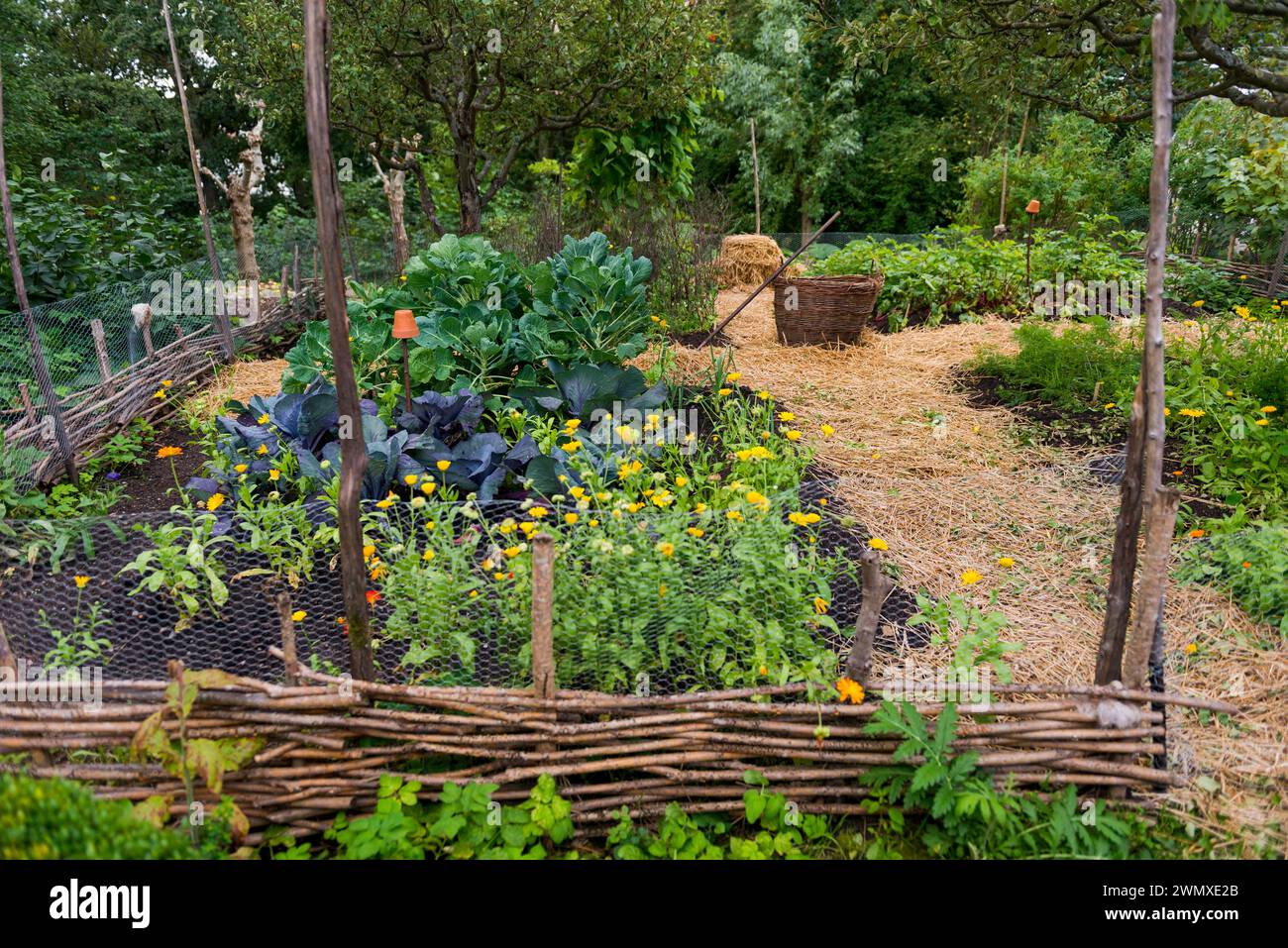 Old vegetable garden, self-sufficient, grow, plant, traditional ...