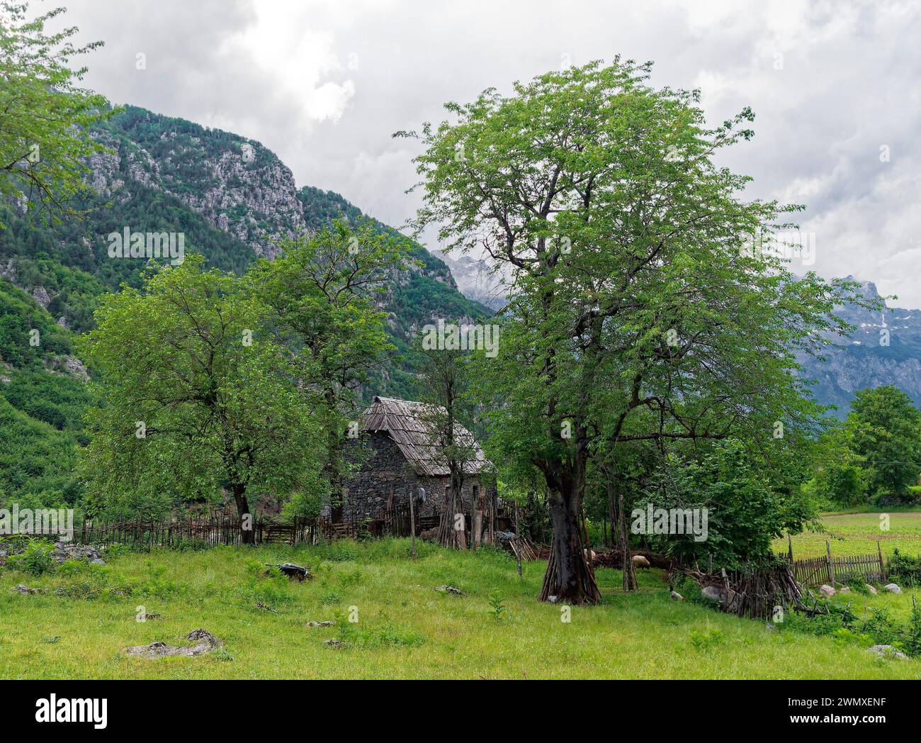 Grunasit hi-res stock photography and images - Alamy